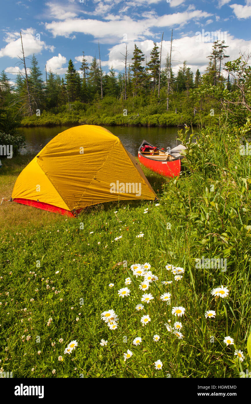 Tent and canoe next to the Cold Stream "deadwater" above Upper Cold ...