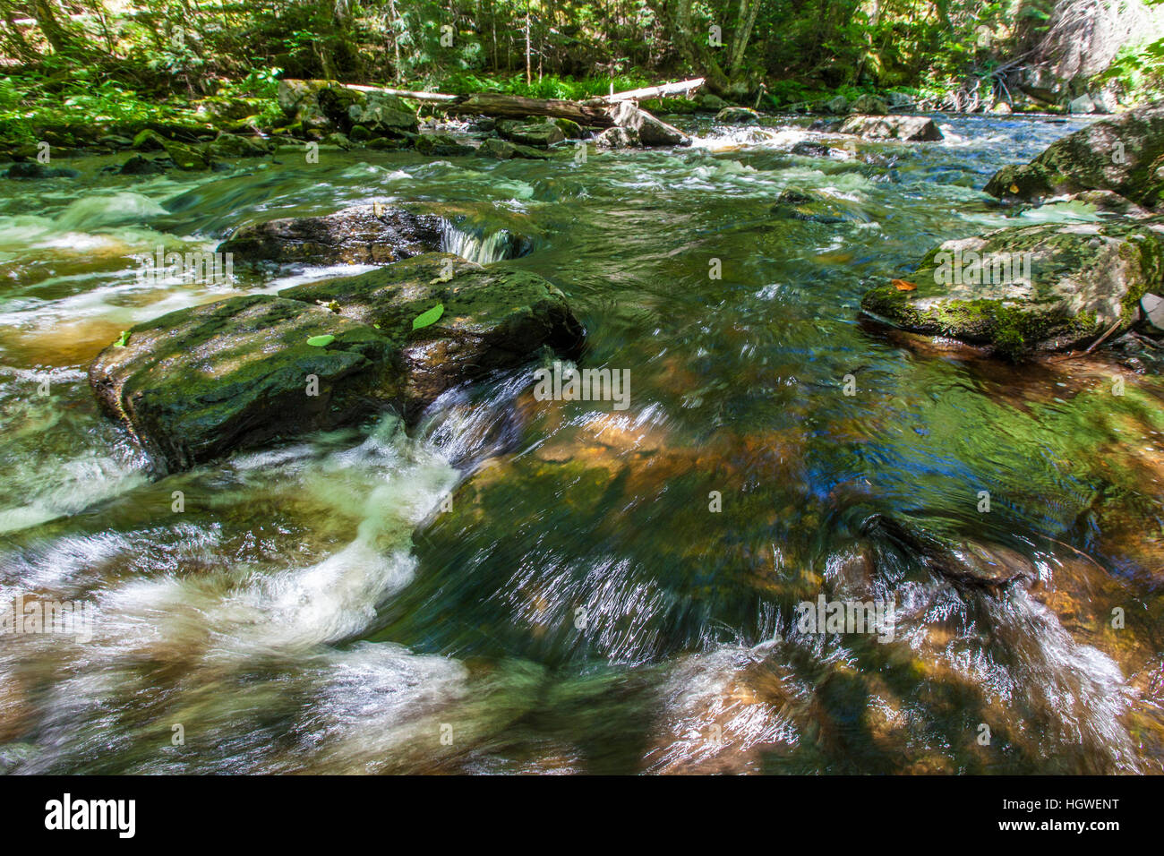 Cold Stream in Maine's Northern Forest. Cold Stream Gorge. Johnson ...