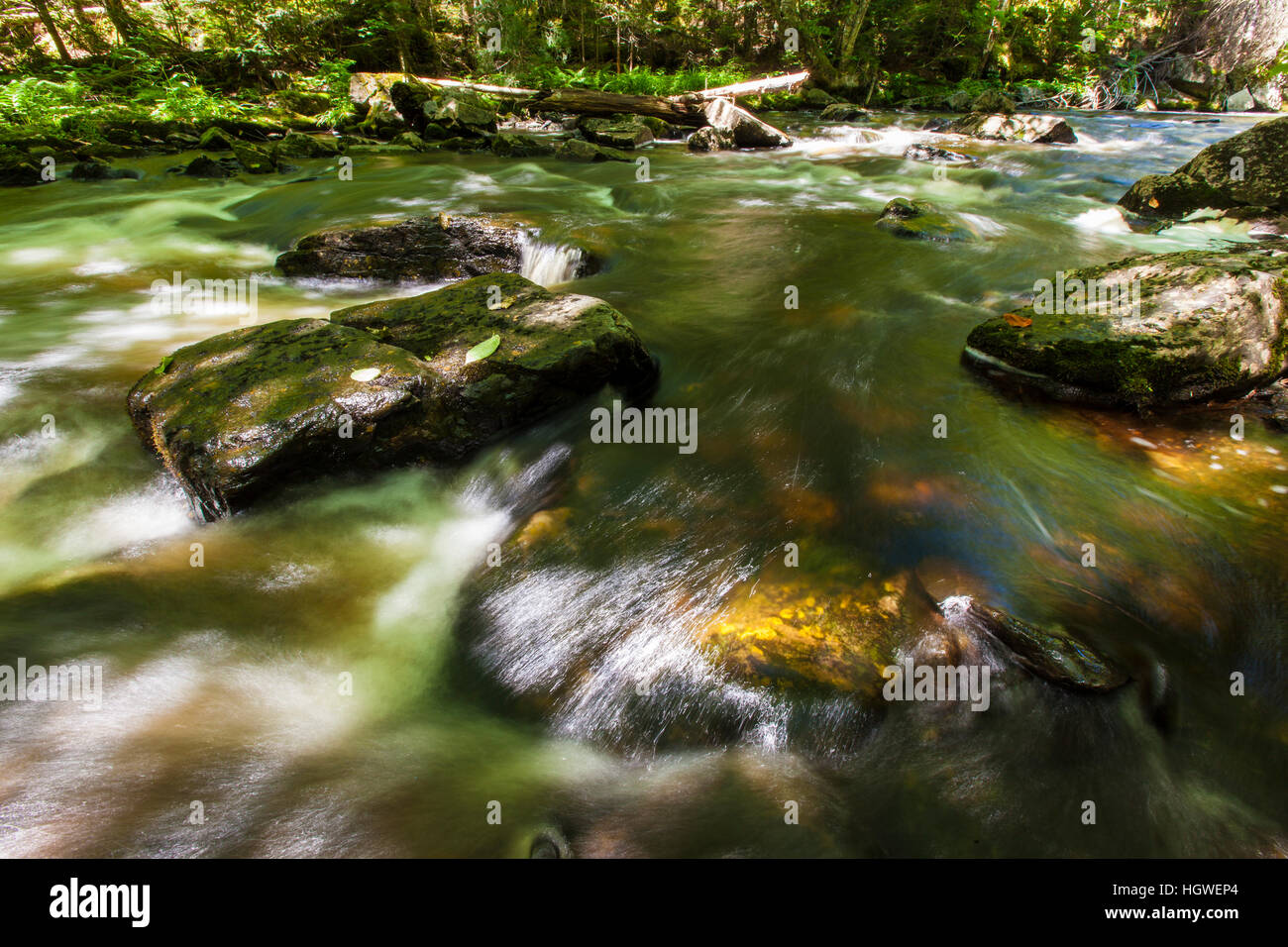Cold Stream in Maine's Northern Forest. Cold Stream Gorge. Johnson ...