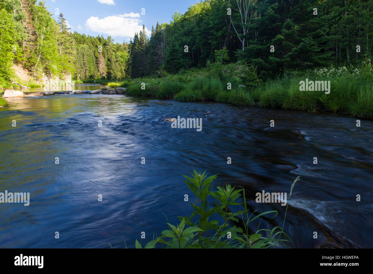 Cold Stream in Maine's Northern Forest. West Forks Stock Photo - Alamy