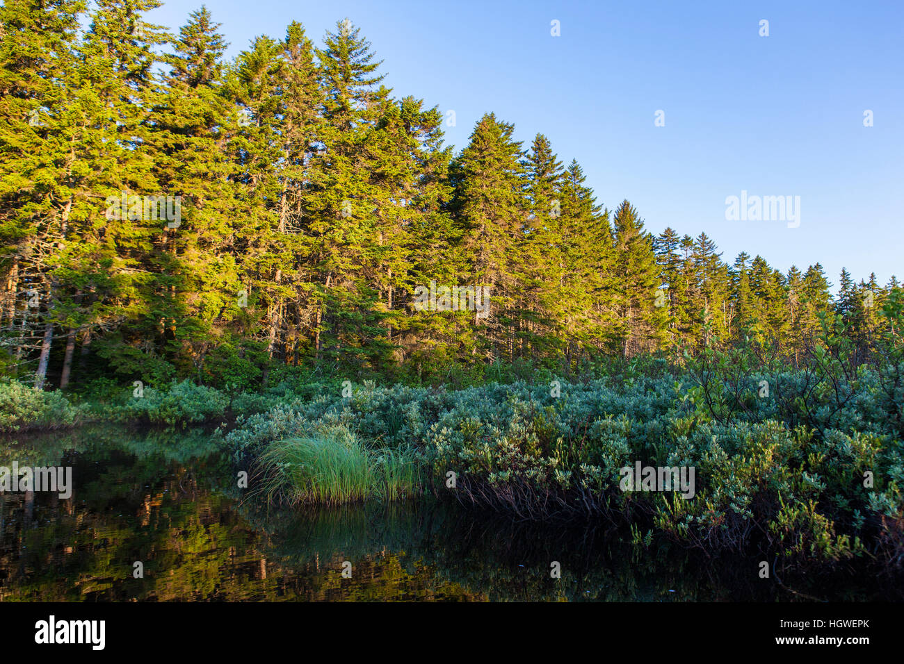The Cold Stream "deadwater" above Upper Cold Stream Falls in Maine's ...