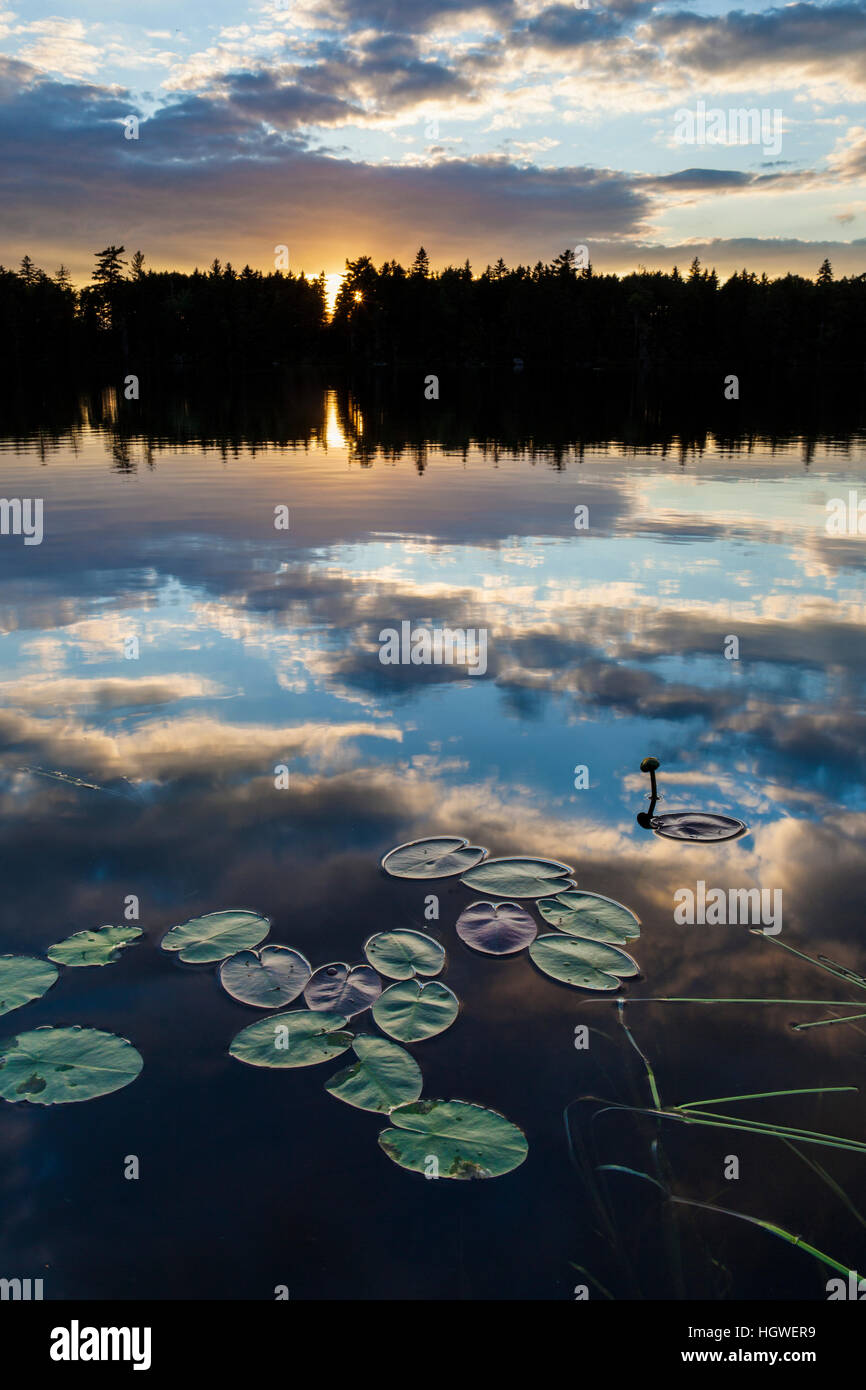 Water lilies and cloud reflections on Lang Pond in Maine's Northern ...