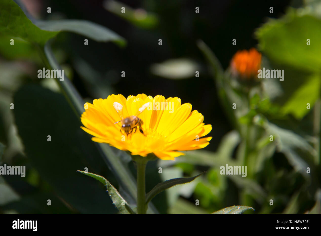 Valle de Punilla, Cordoba, Argentina Stock Photo - Alamy