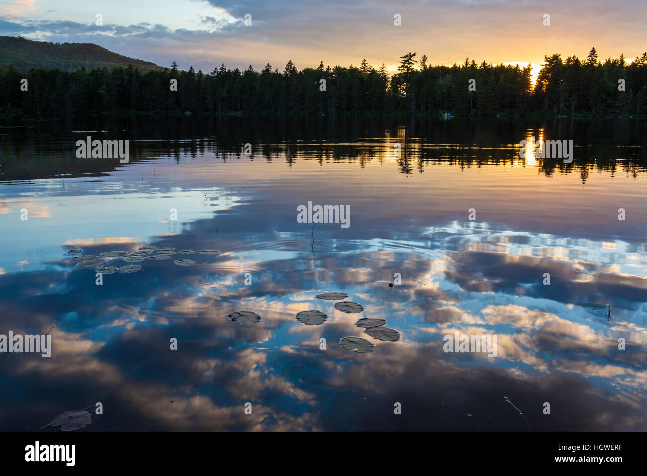 Water lilies and cloud reflections on Lang Pond in Maine's Northern ...