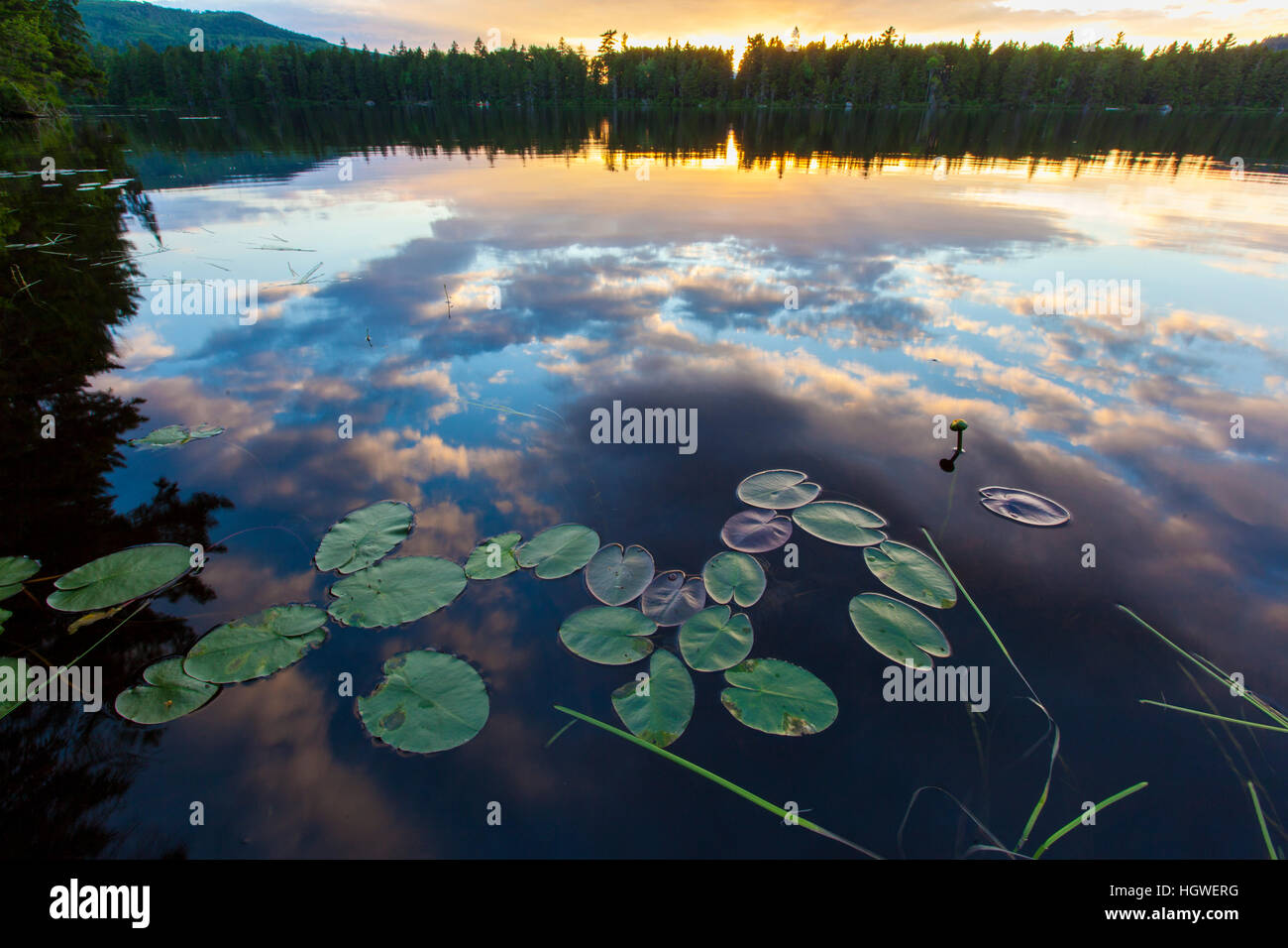 Water lilies and cloud reflections on Lang Pond in Maine's Northern ...