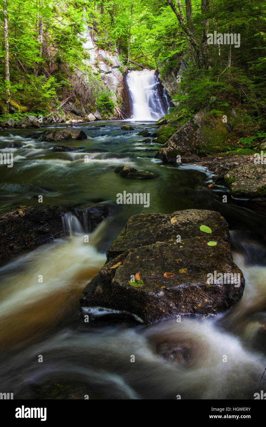 Cold Stream Falls in Maine's Northern Forest. Cold Stream Gorge ...