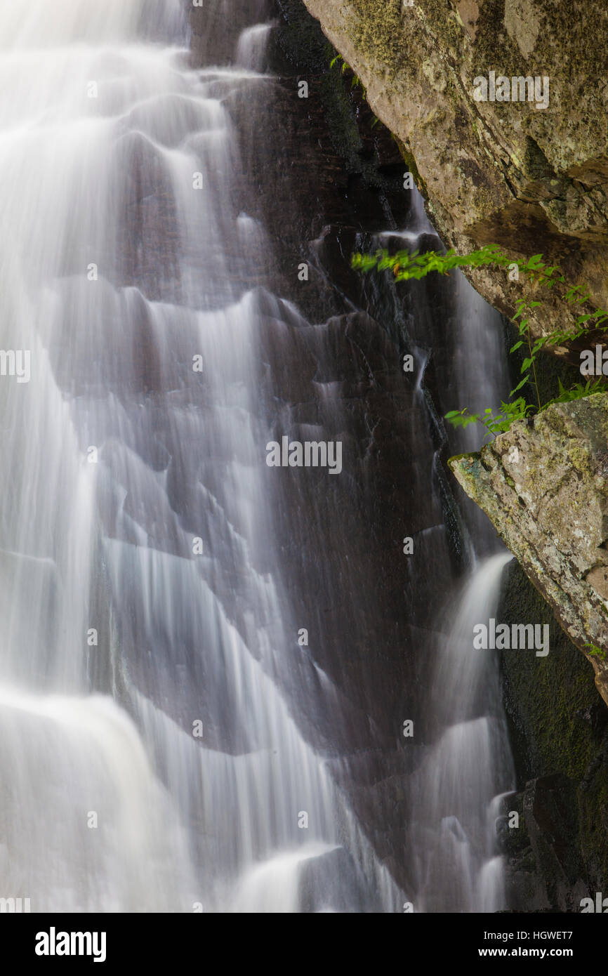 Cold Stream Falls in Maine's Northern Forest. Cold Stream Gorge ...