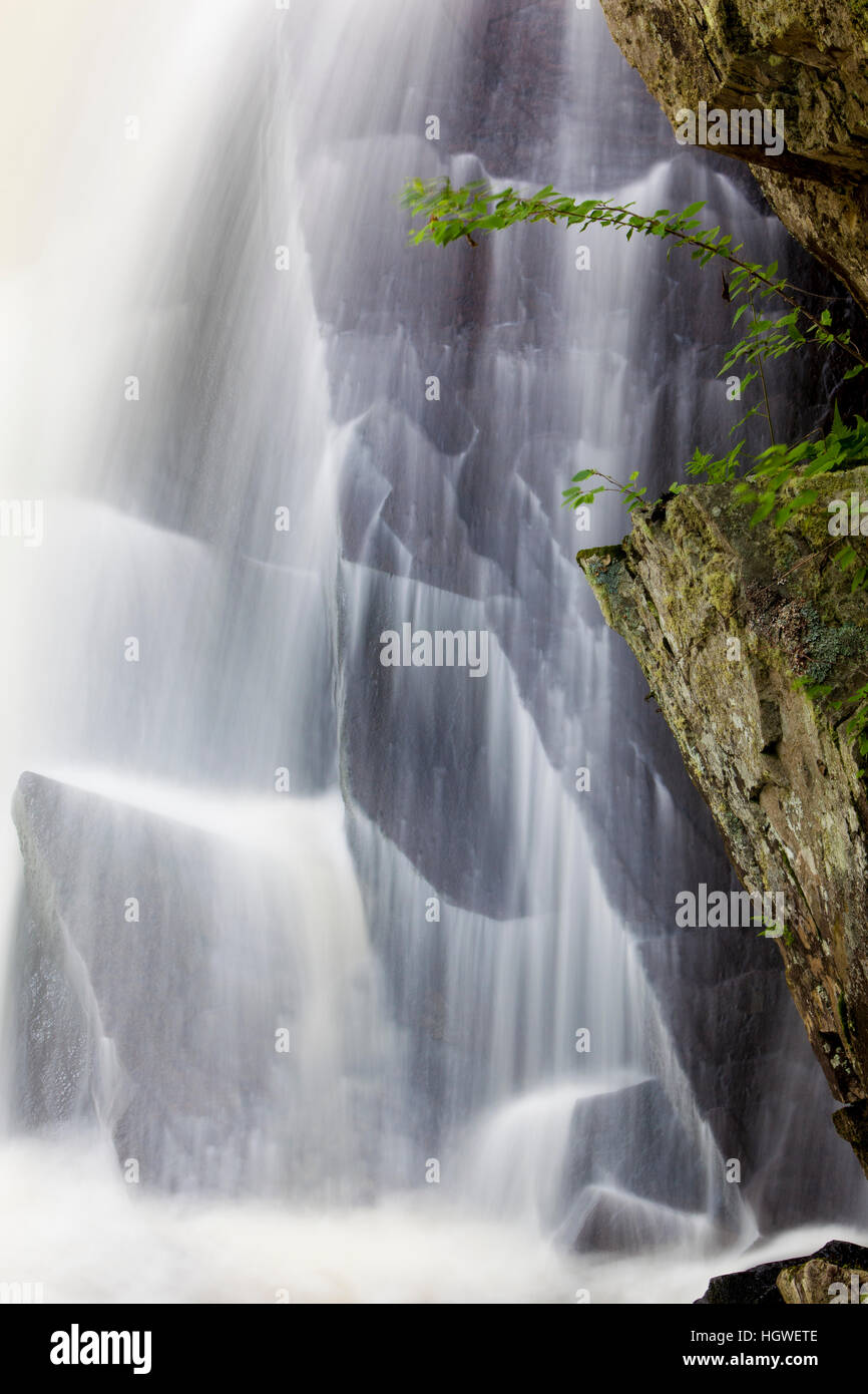 Cold Stream Falls in Maine's Northern Forest. Cold Stream Gorge ...