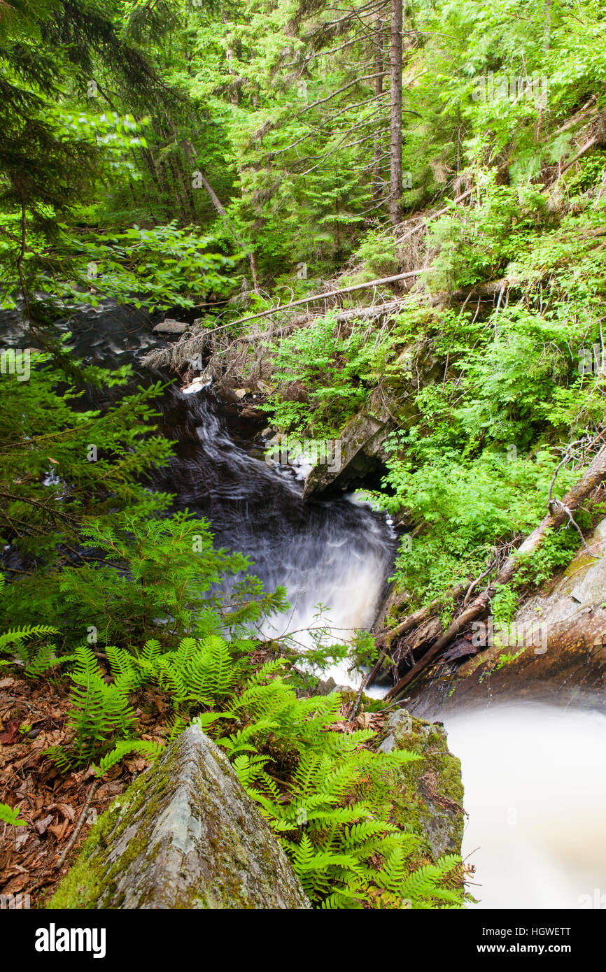 Cold Stream Falls in Maine's Northern Forest. Cold Stream Gorge ...