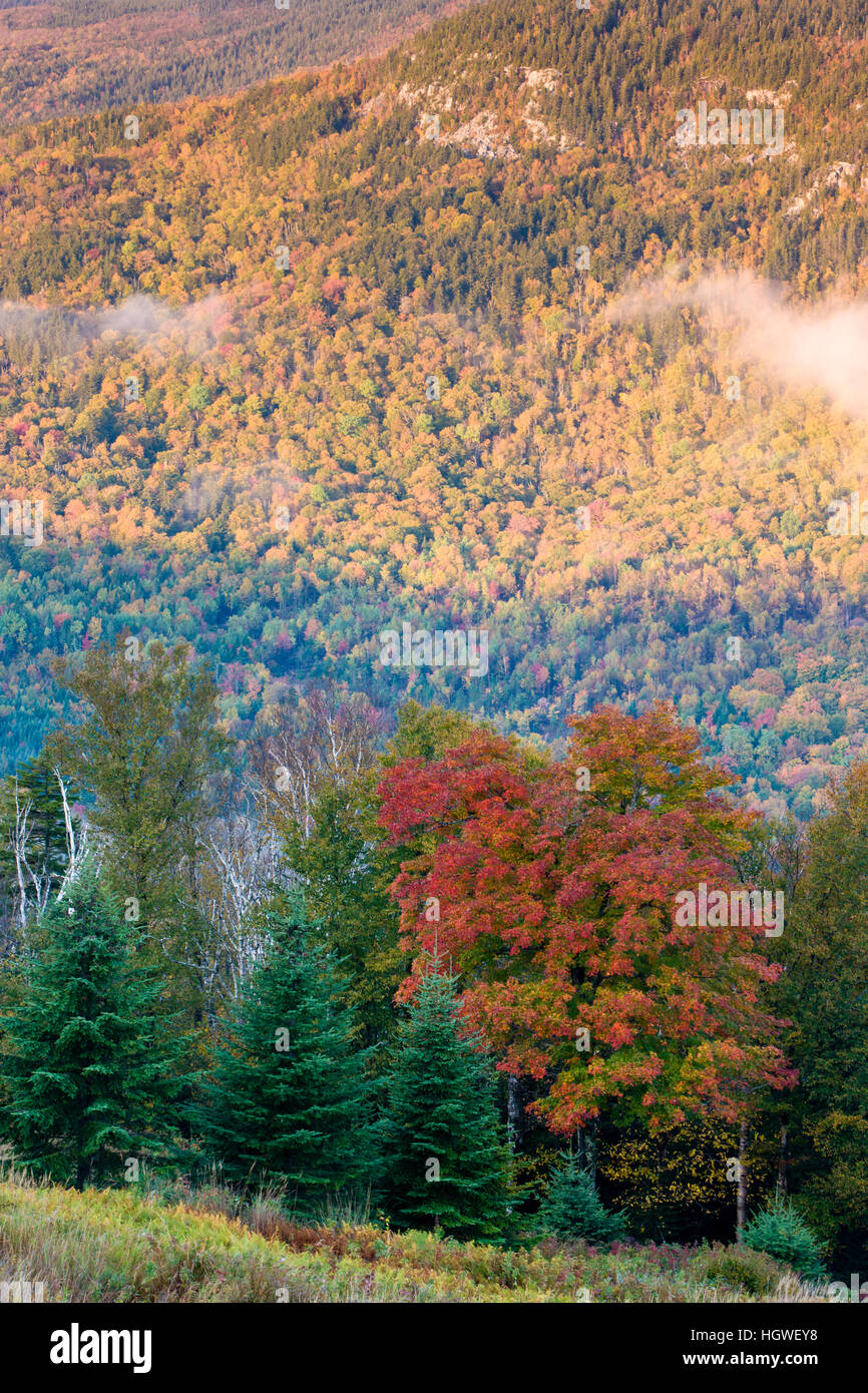 Fall foliage as seen from the Appalachian Trail at the Height of Land ...