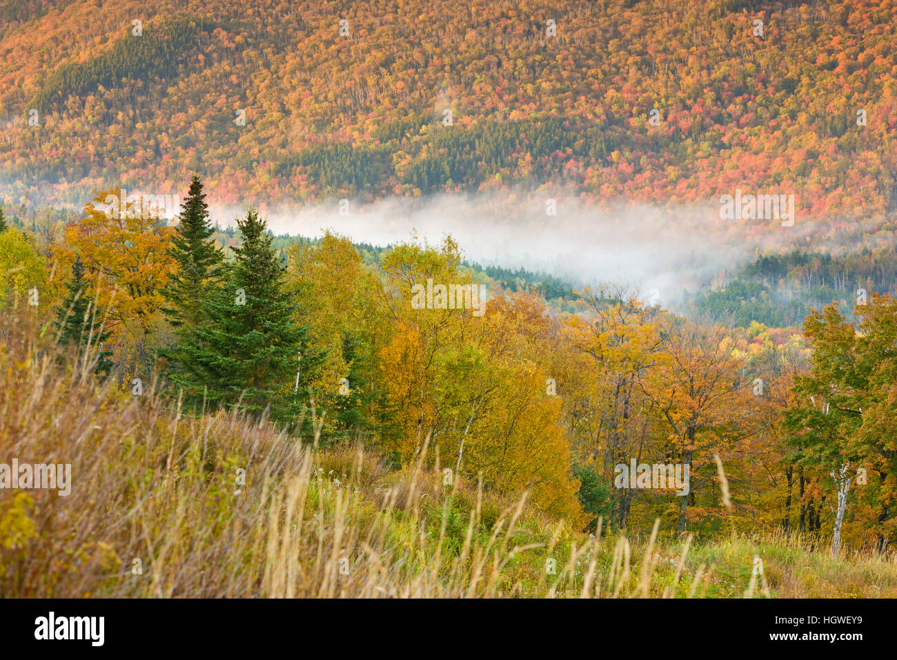 Fall foliage as seen from the Appalachian Trail at the Height of Land ...