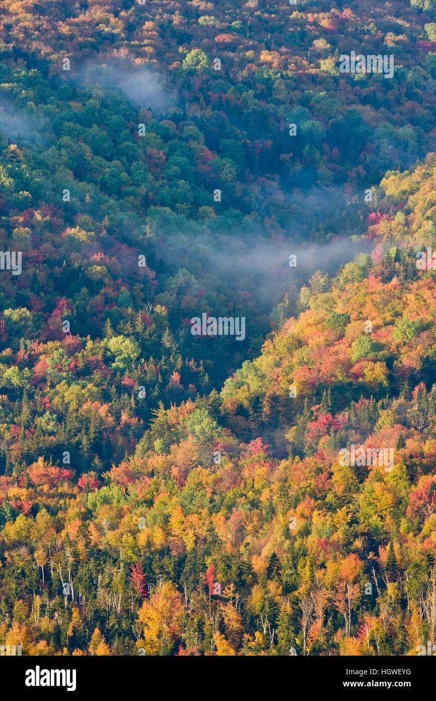 Fall foliage as seen from the Appalachian Trail at the Height of Land ...