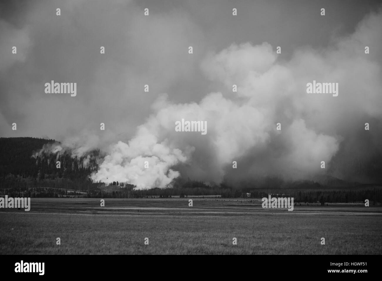 Danger of forest fire Black and White Stock Photos & Images - Alamy