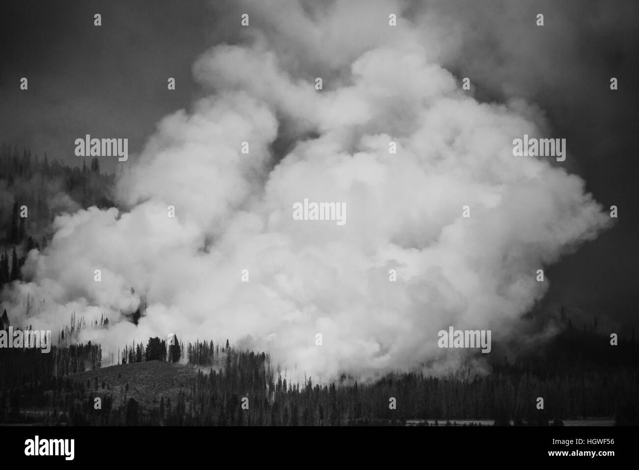 smoke from forest fire Stock Photo - Alamy