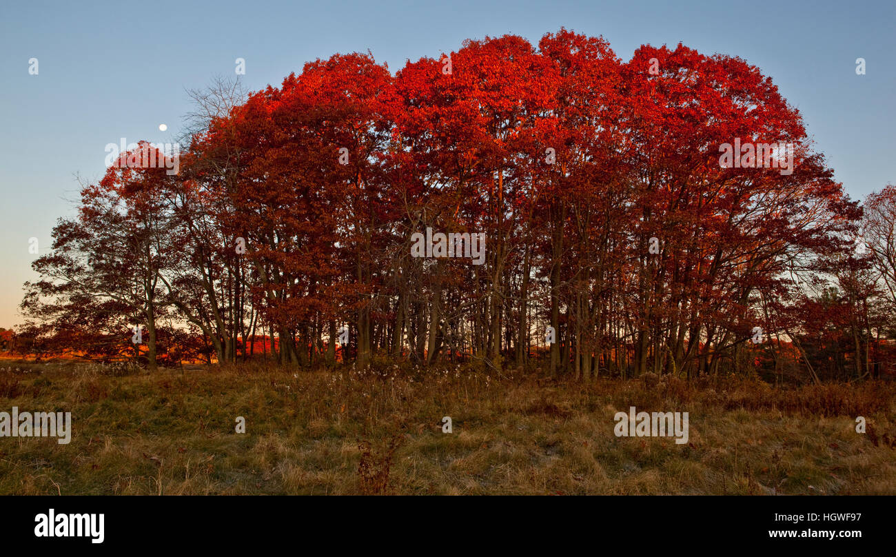 Hay moon hi-res stock photography and images - Alamy