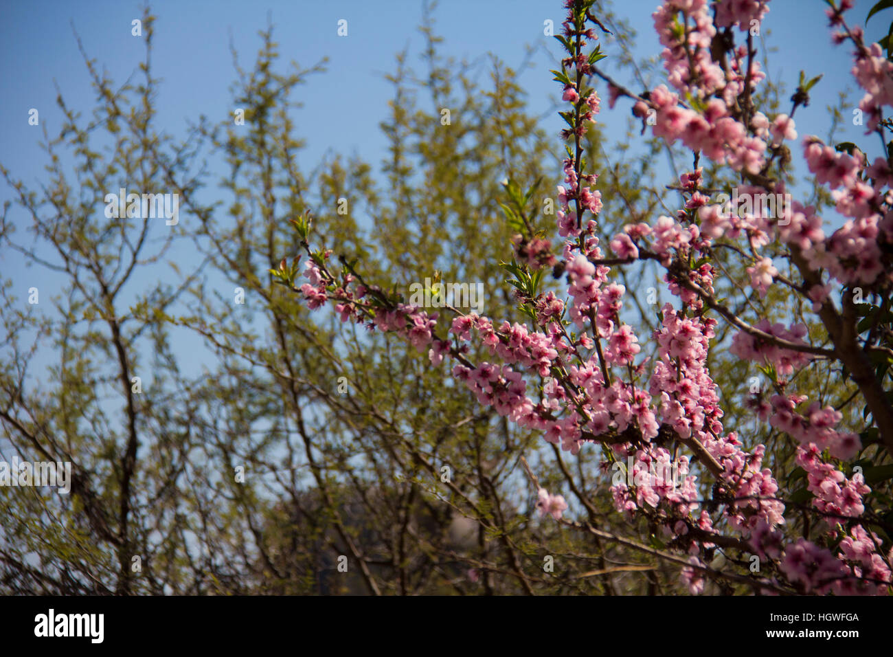 Valle de Punilla, Cordoba, Argentina Stock Photo - Alamy