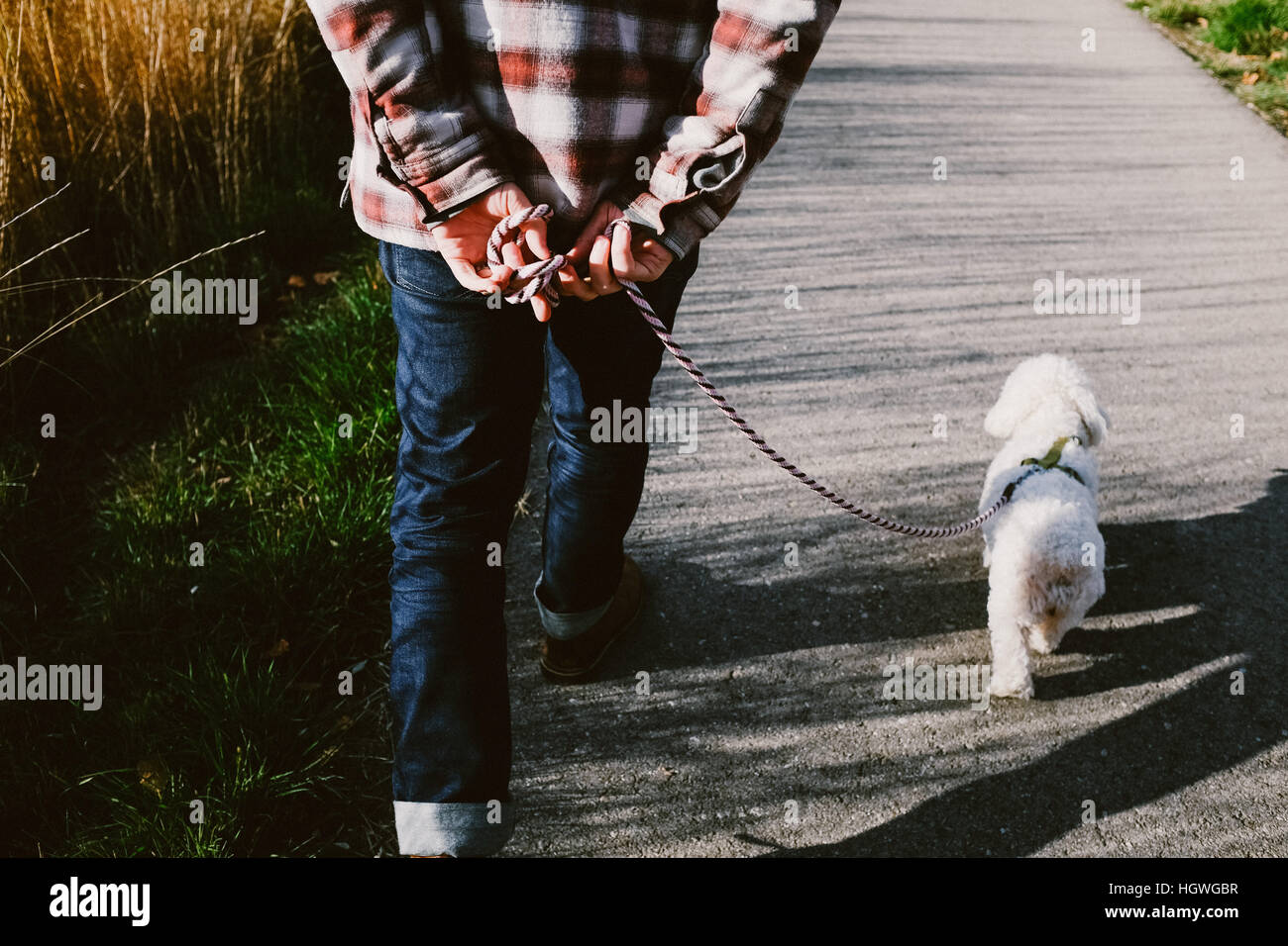 man walking dog Stock Photo - Alamy