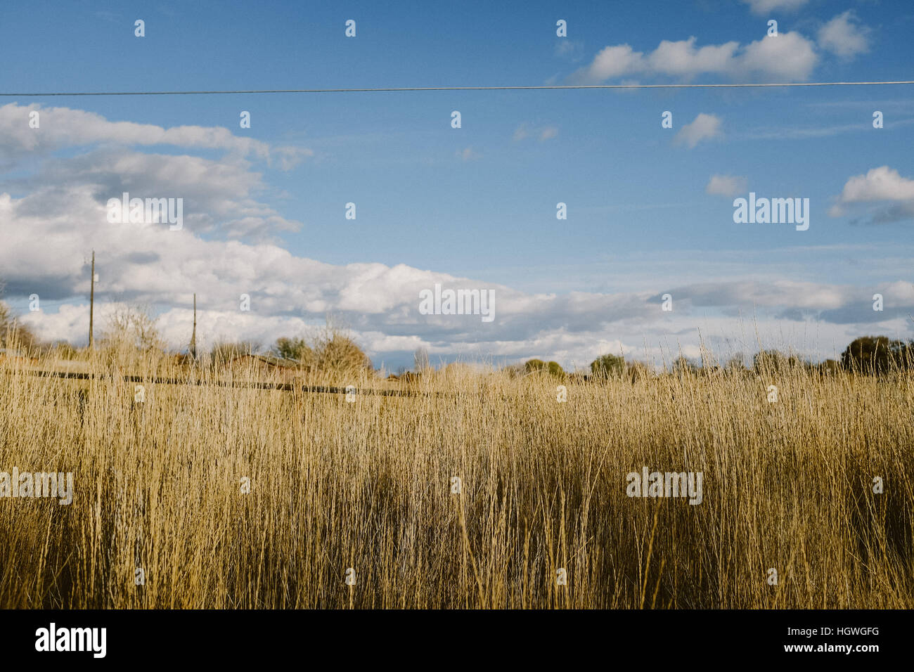 field from below Stock Photo - Alamy