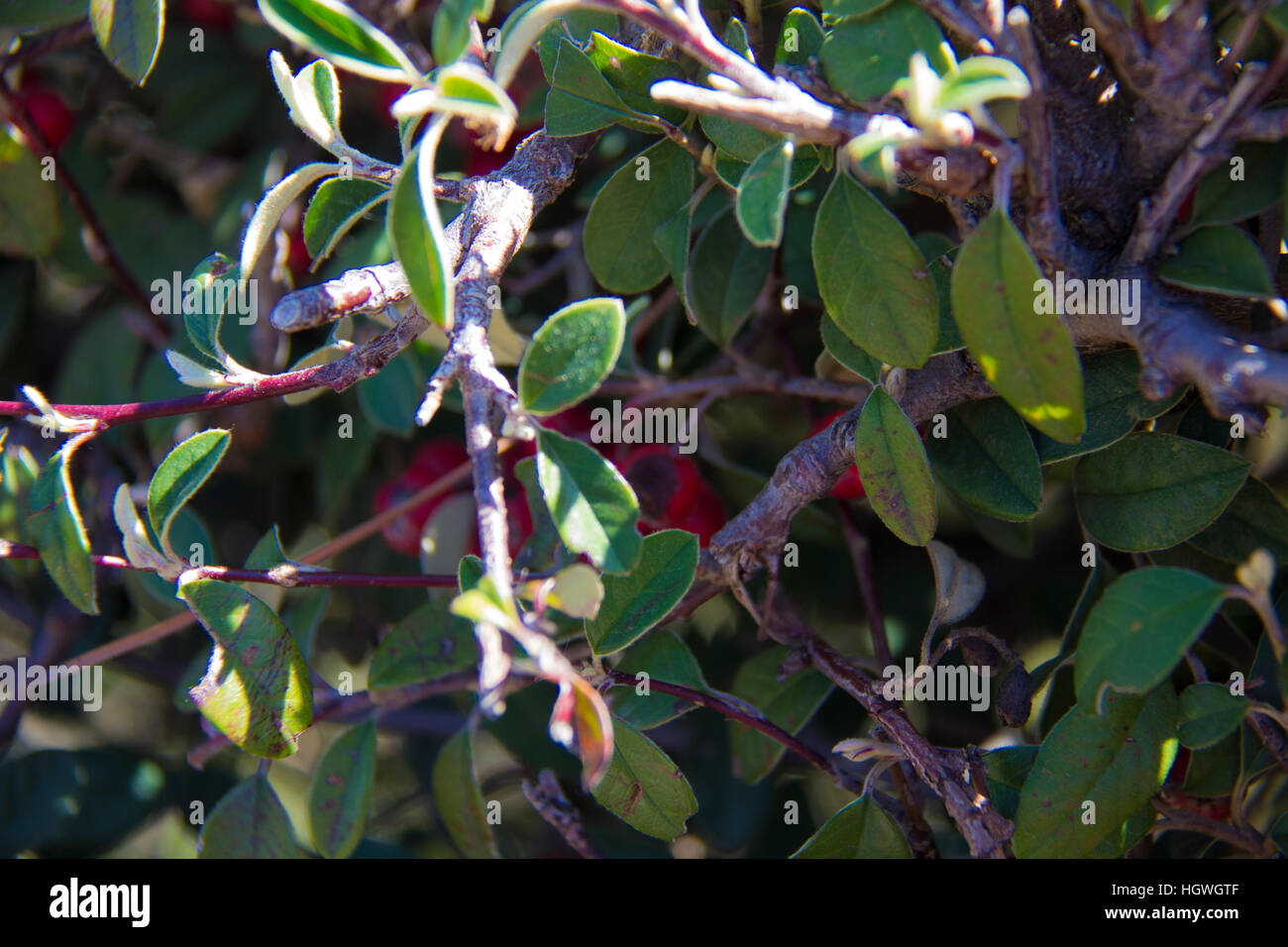 Valle de Punilla, Cordoba, Argentina Stock Photo - Alamy
