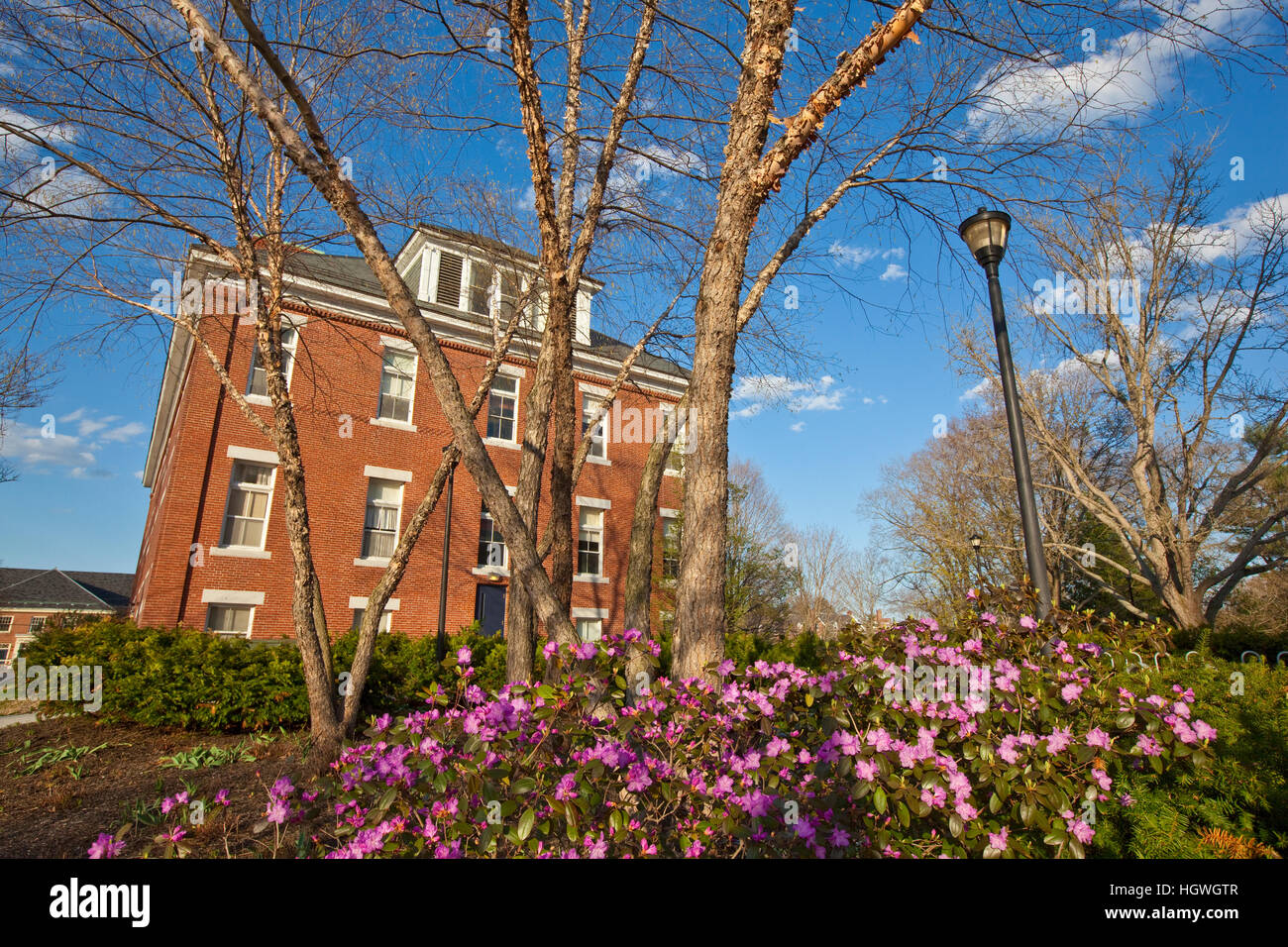 New college durham hi-res stock photography and images - Alamy