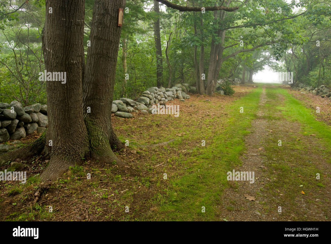 A trail in Odiorne State Park in Rye, New Hampshire Stock Photo - Alamy