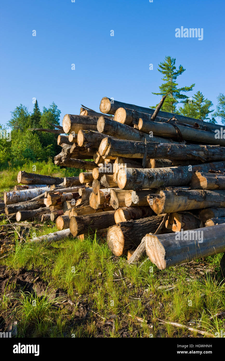 Timber harvest hi-res stock photography and images - Alamy