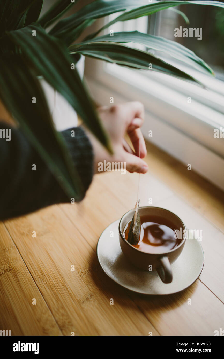 Tea pot window hi-res stock photography and images - Alamy