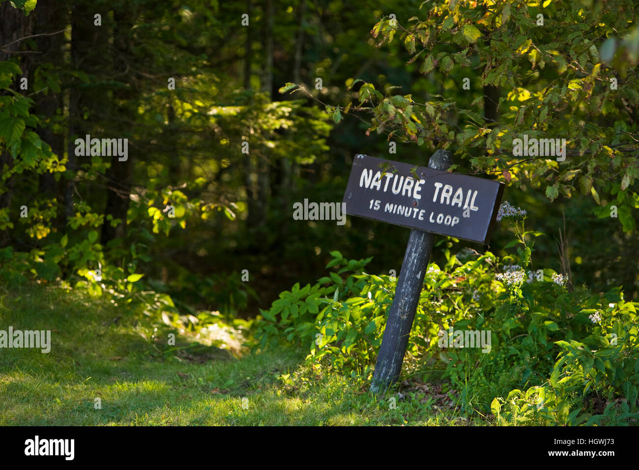 A nature trail at the John Wingate Weeks State Historic Site. Lancaster ...
