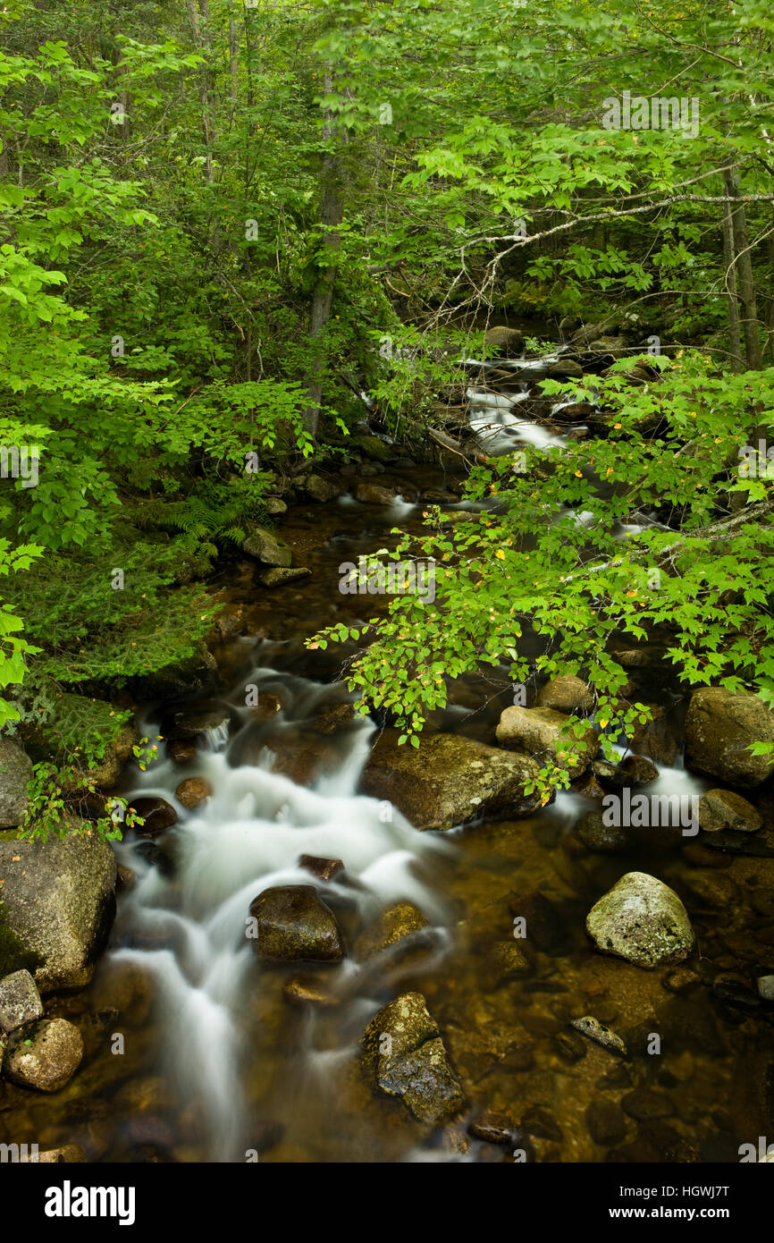 Moose Brook at Moose Brook State Park in Gorham, new Hampshire Stock ...