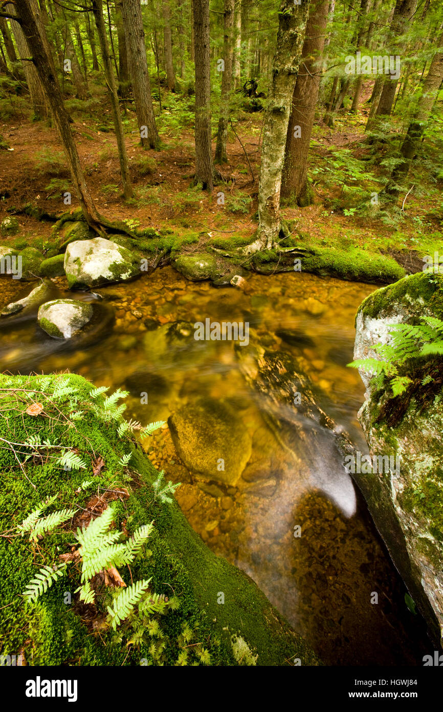 Moose Brook at Moose Brook State Park in Gorham, new Hampshire Stock ...