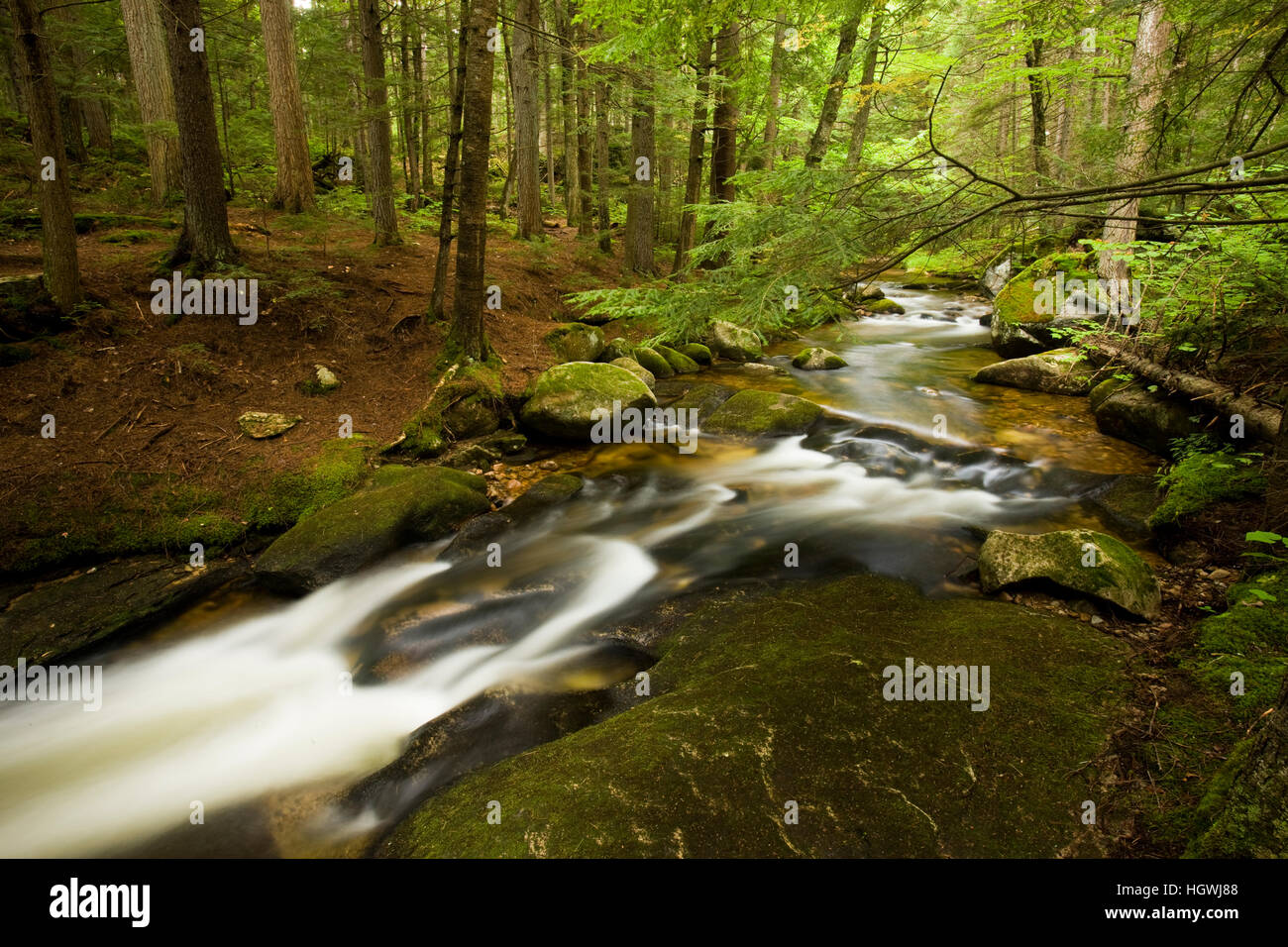 Moose Brook at Moose Brook State Park in Gorham, new Hampshire Stock ...