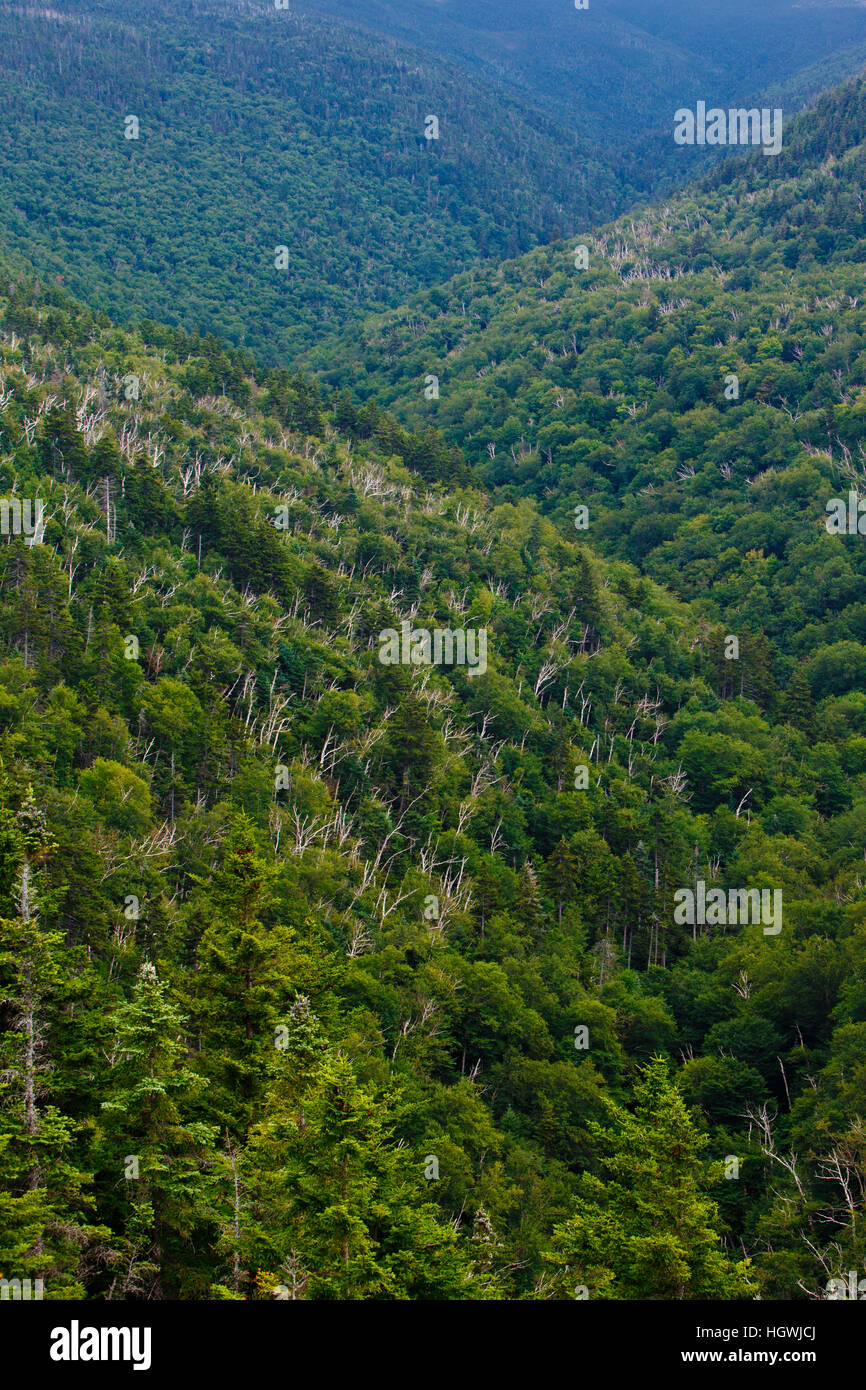 The White Mountain National Forest in New Hampshire. From Dome Rock ...