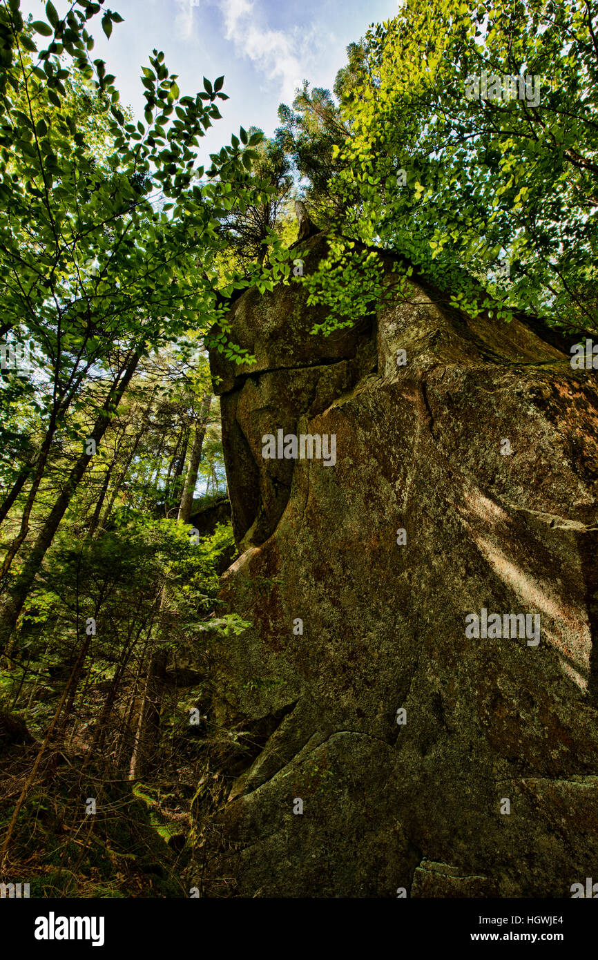 Boulders in the forest in Lost River Gorge in New Hampshire's White ...