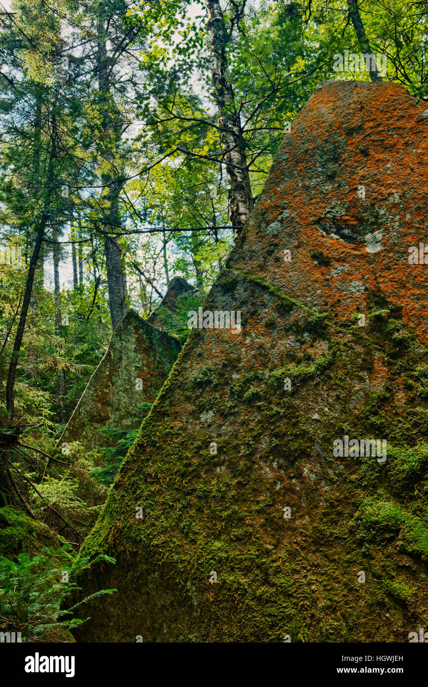 Boulders in the forest in Lost River Gorge in New Hampshire's White ...