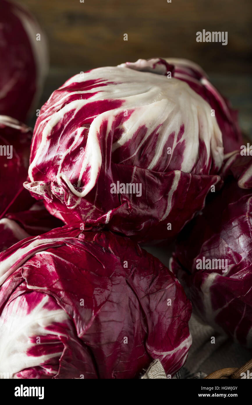 Radicchio lettuce hi-res stock photography and images - Alamy