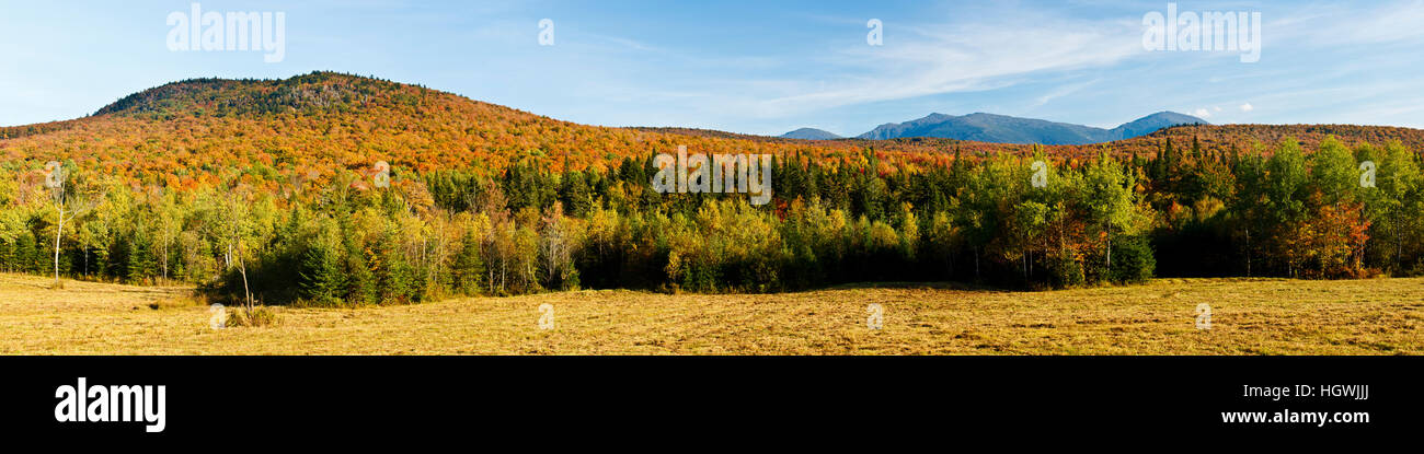 Field in randolph community forest hi-res stock photography and images ...