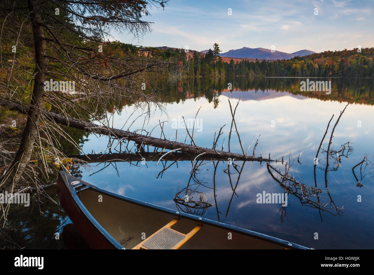 Pond of Safety in the Randolph Community Forest. in New Hampshire's ...