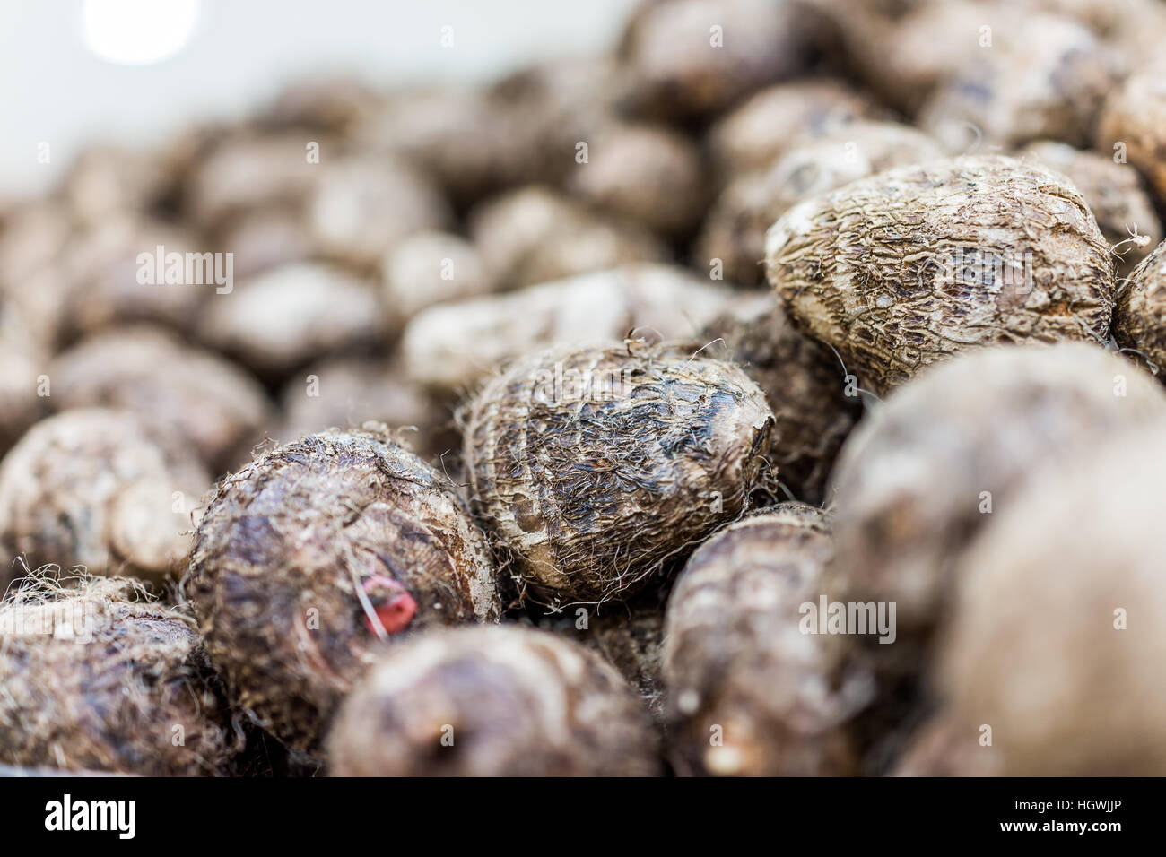 Taro root hi-res stock photography and images - Alamy