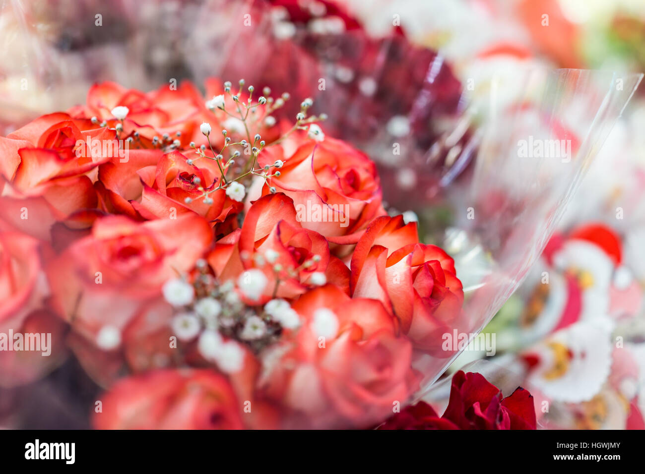 White Roses With Red Tips Bouquet