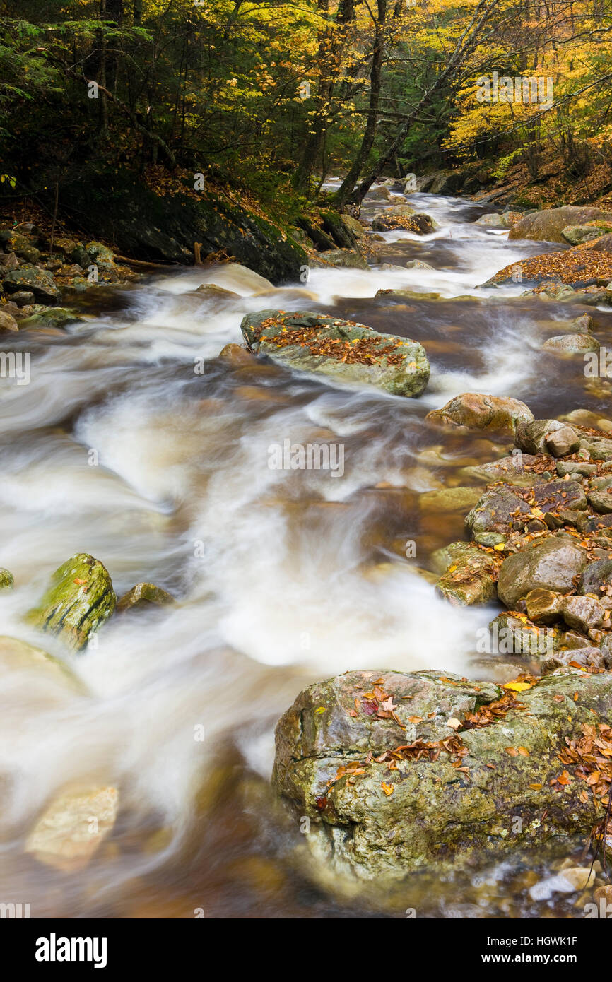 Roaring Brook in fall in Vermont's Green Mountains. Green Mountain ...