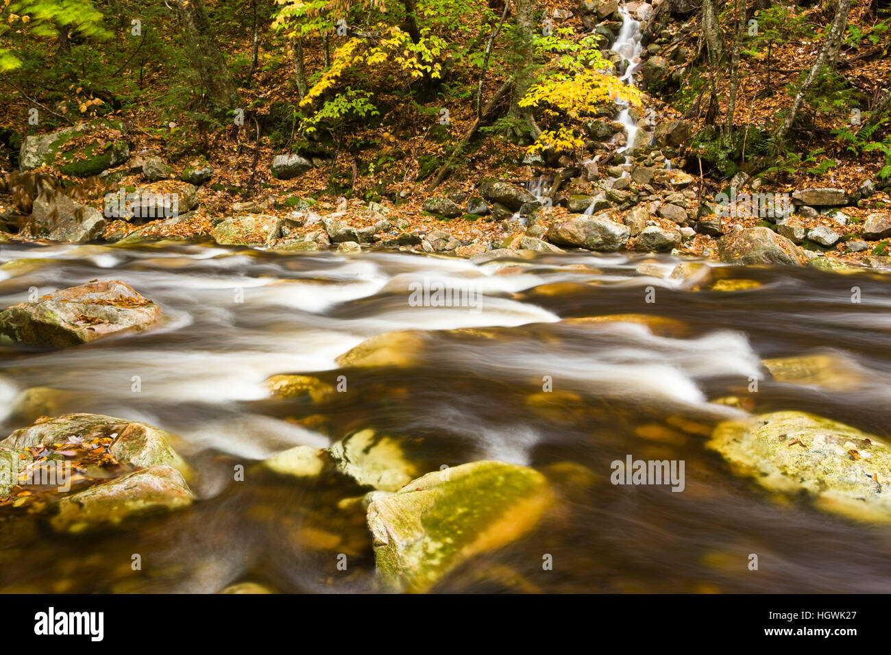 Roaring Brook in fall in Vermont's Green Mountains. Green Mountain ...