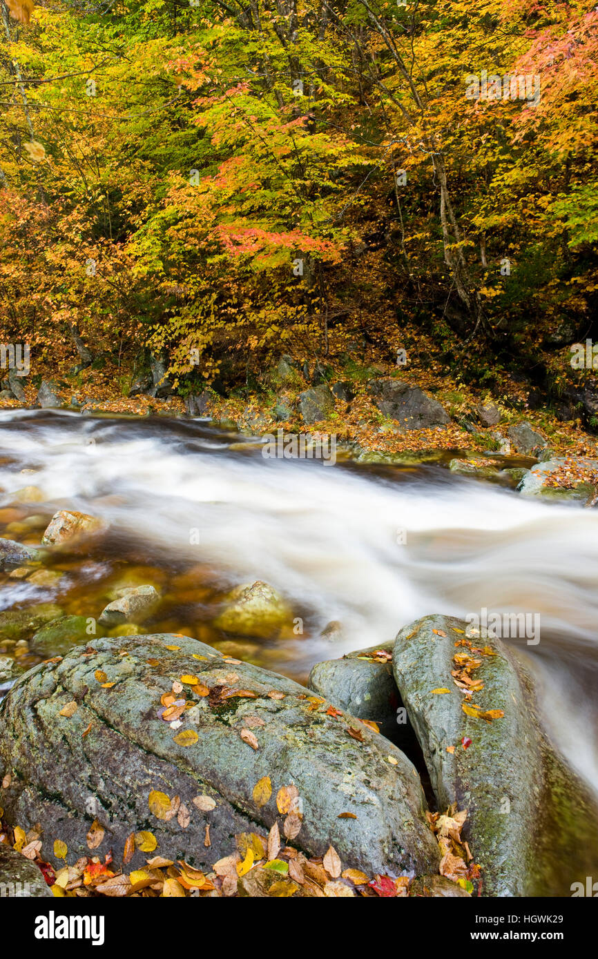 Roaring Brook in fall in Vermont's Green Mountains. Green Mountain ...