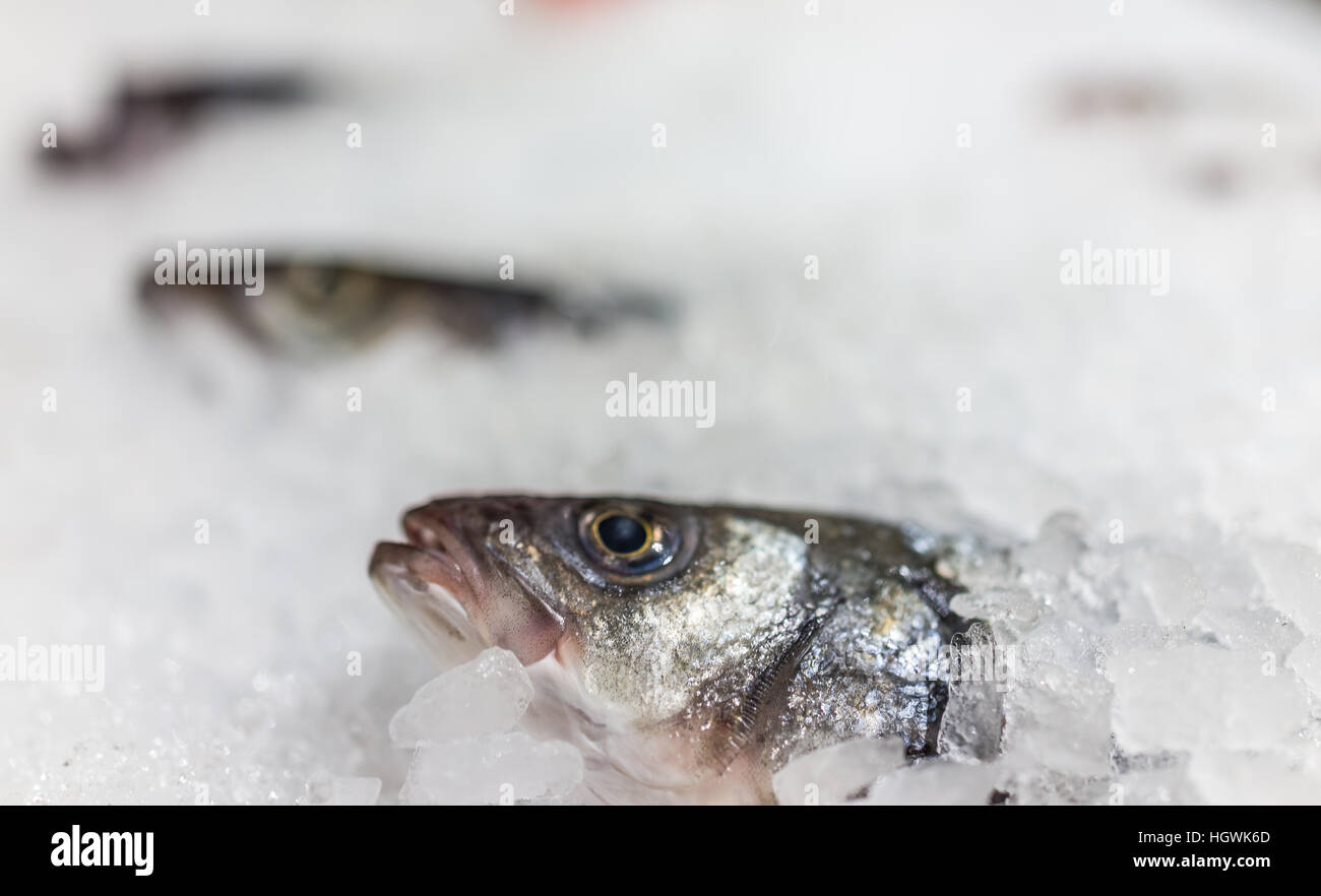 Mackerel fish heads on ice in row Stock Photo - Alamy