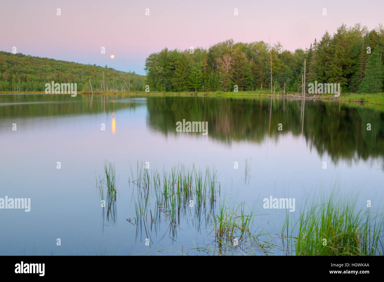 Zack woods pond hi-res stock photography and images - Alamy