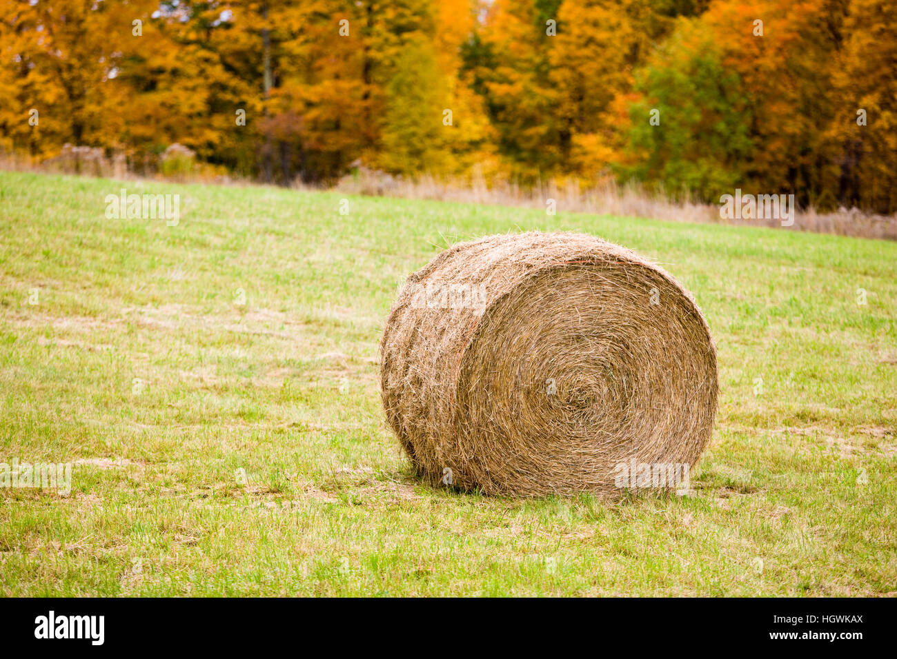 Burke mountain vermont hi-res stock photography and images - Alamy