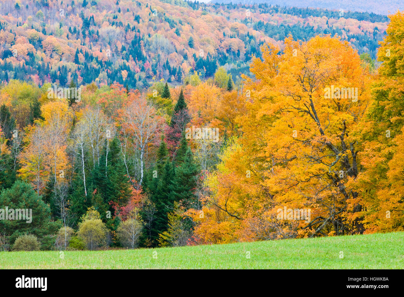 Burke mountain vermont hi-res stock photography and images - Alamy