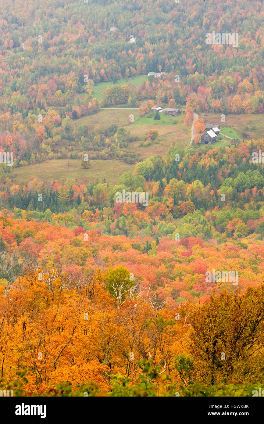 Forest and farms as seen from the summit of Burke Mountain in East ...