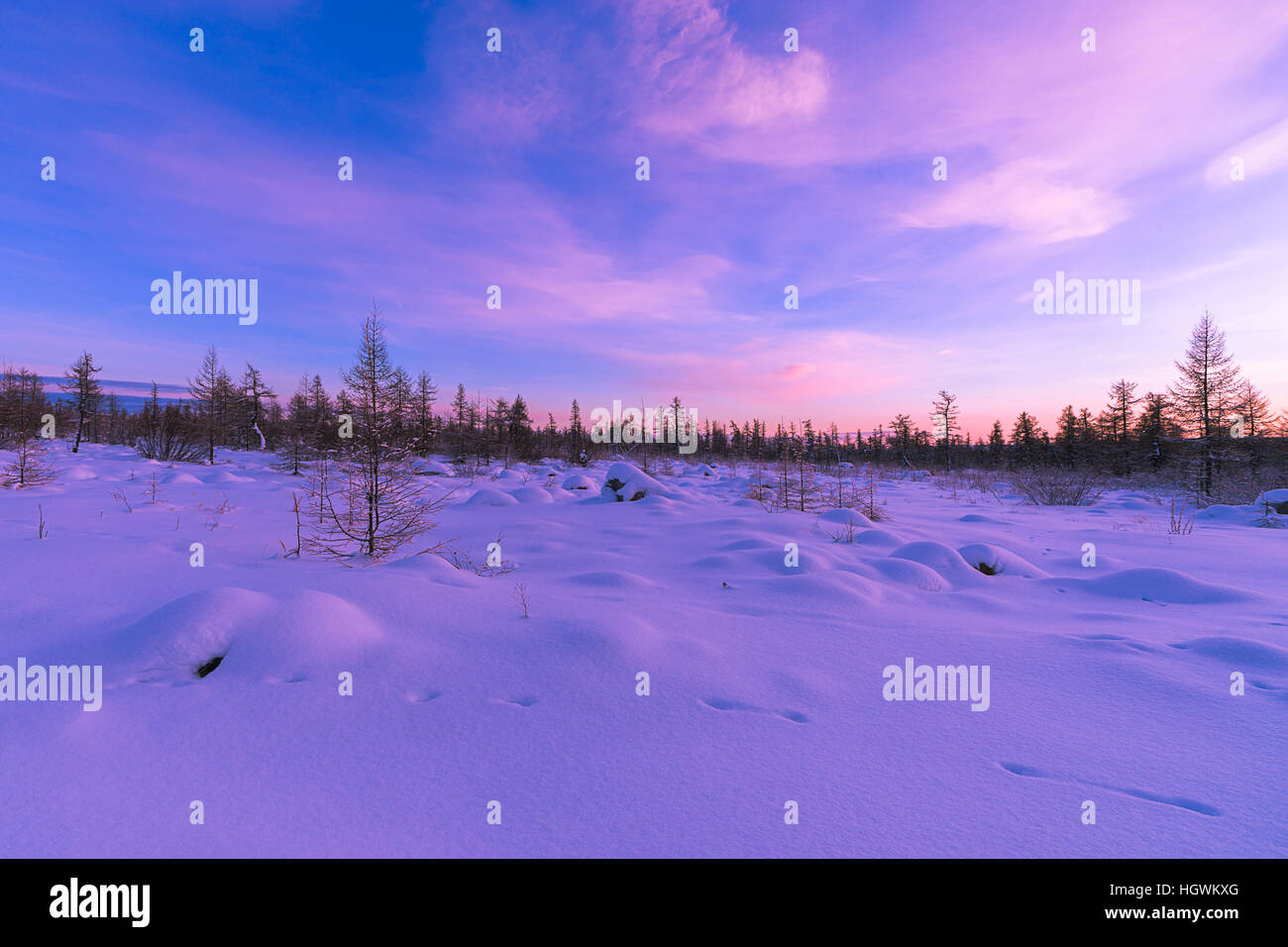 Winter landscape with forest, trees and shadows. Sunset over snow ...