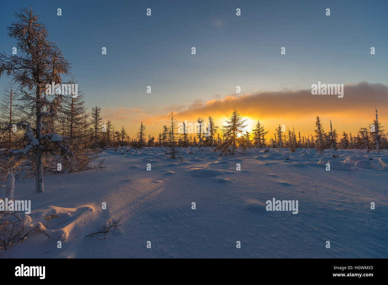 Winter landscape with forest, trees and shadows. Sunset over snow-covered taiga Stock Photo - Alamy