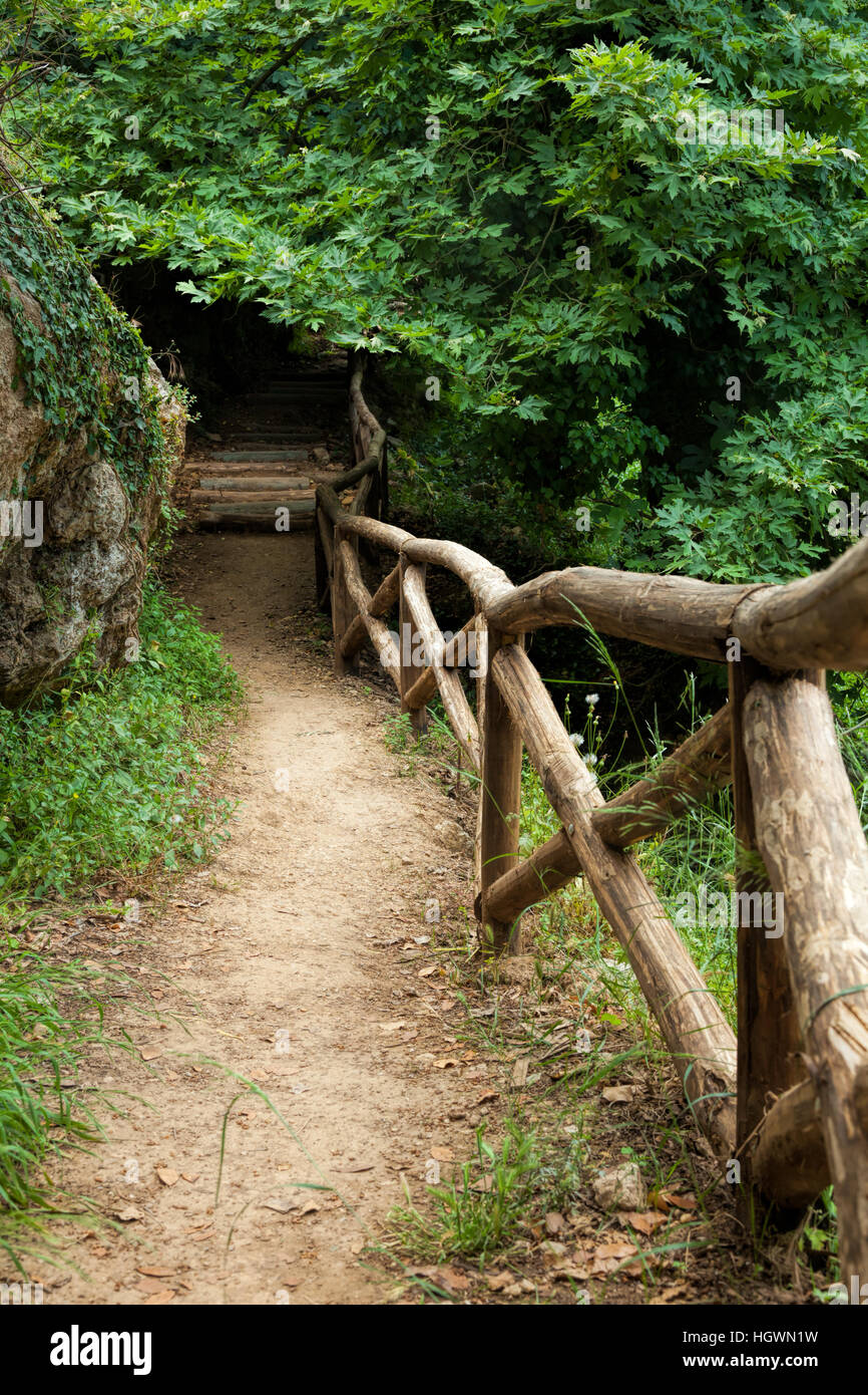 Dense pathway hi-res stock photography and images - Alamy